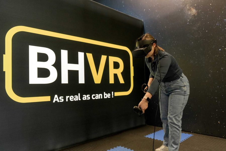 BHVR - Enversed Studios